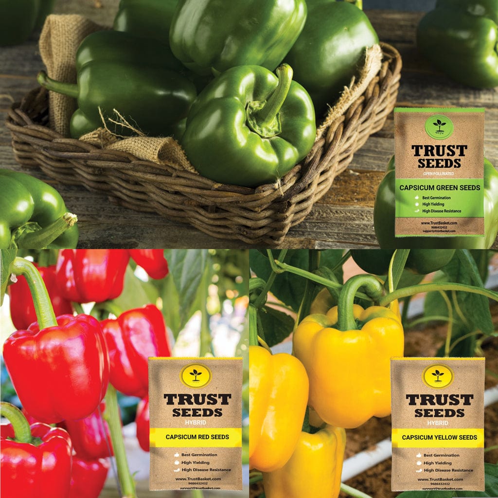 Seeds Combo – TrustBasket