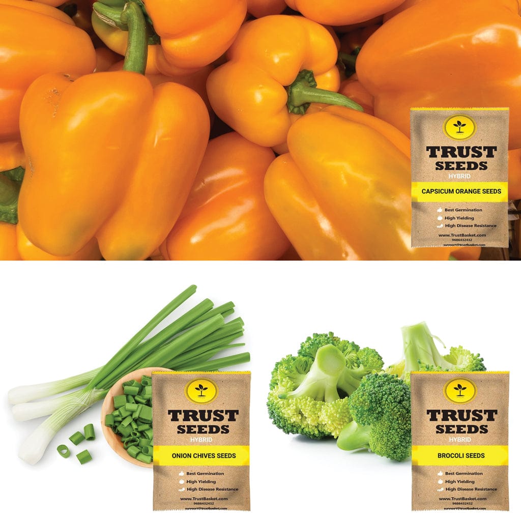 Seeds Combo – TrustBasket