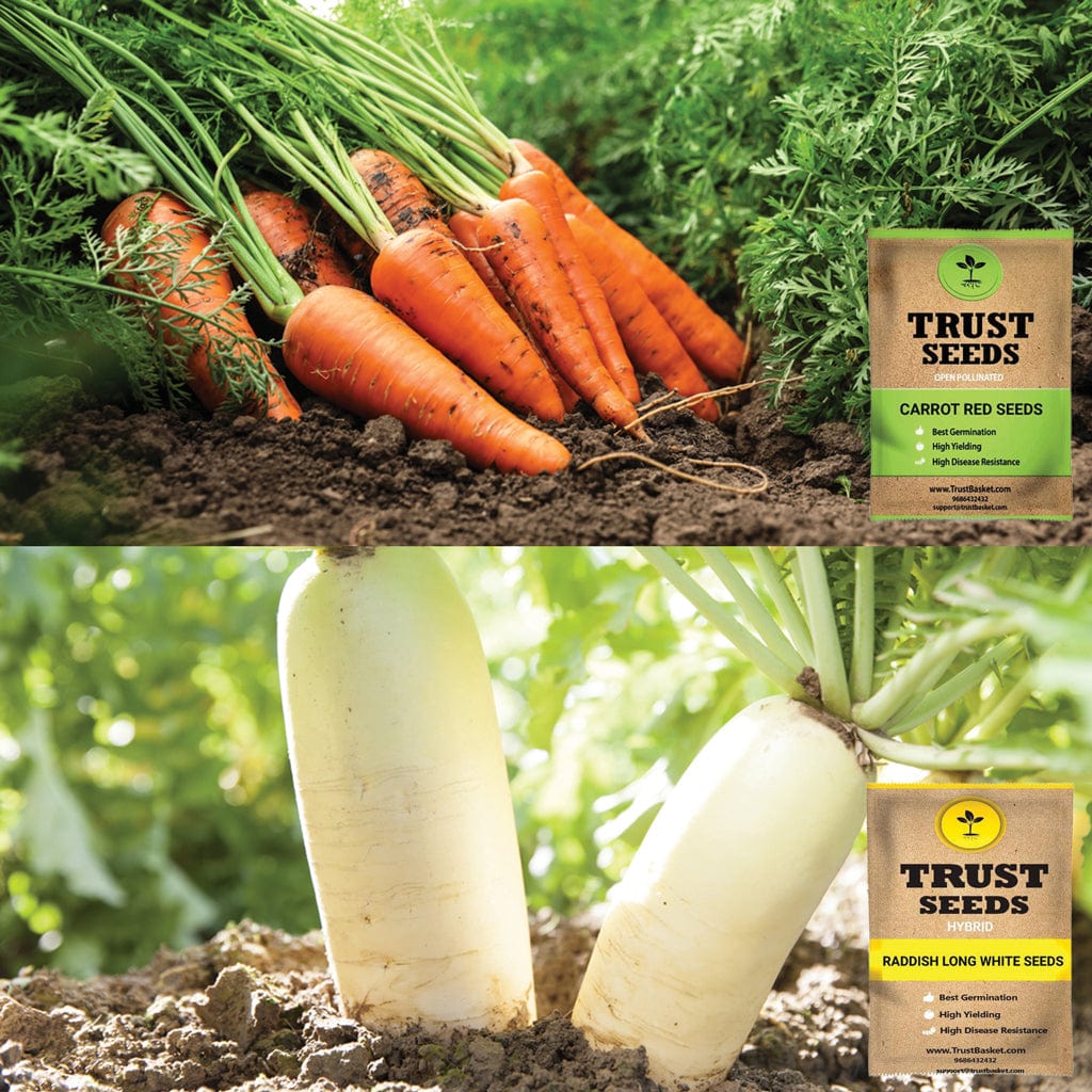 Seeds Combo – TrustBasket