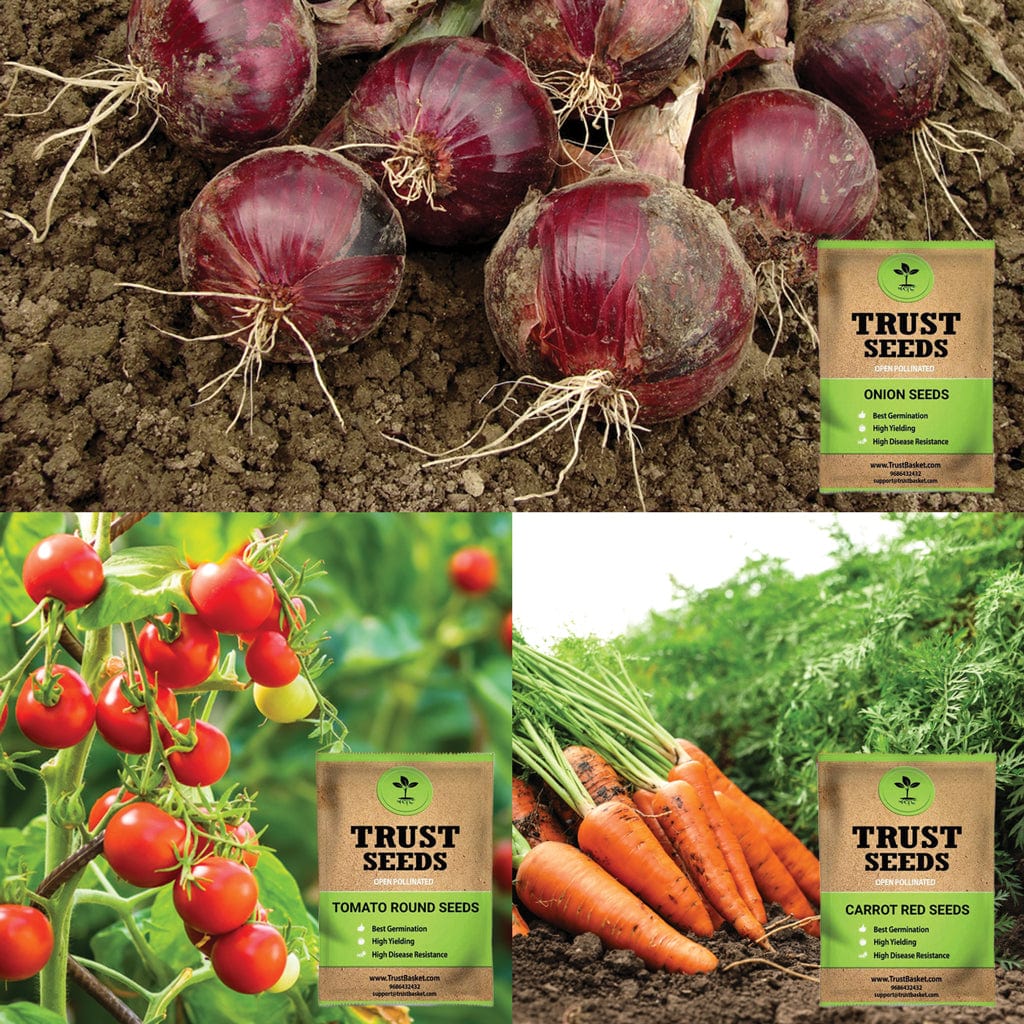 Seeds Combo – TrustBasket