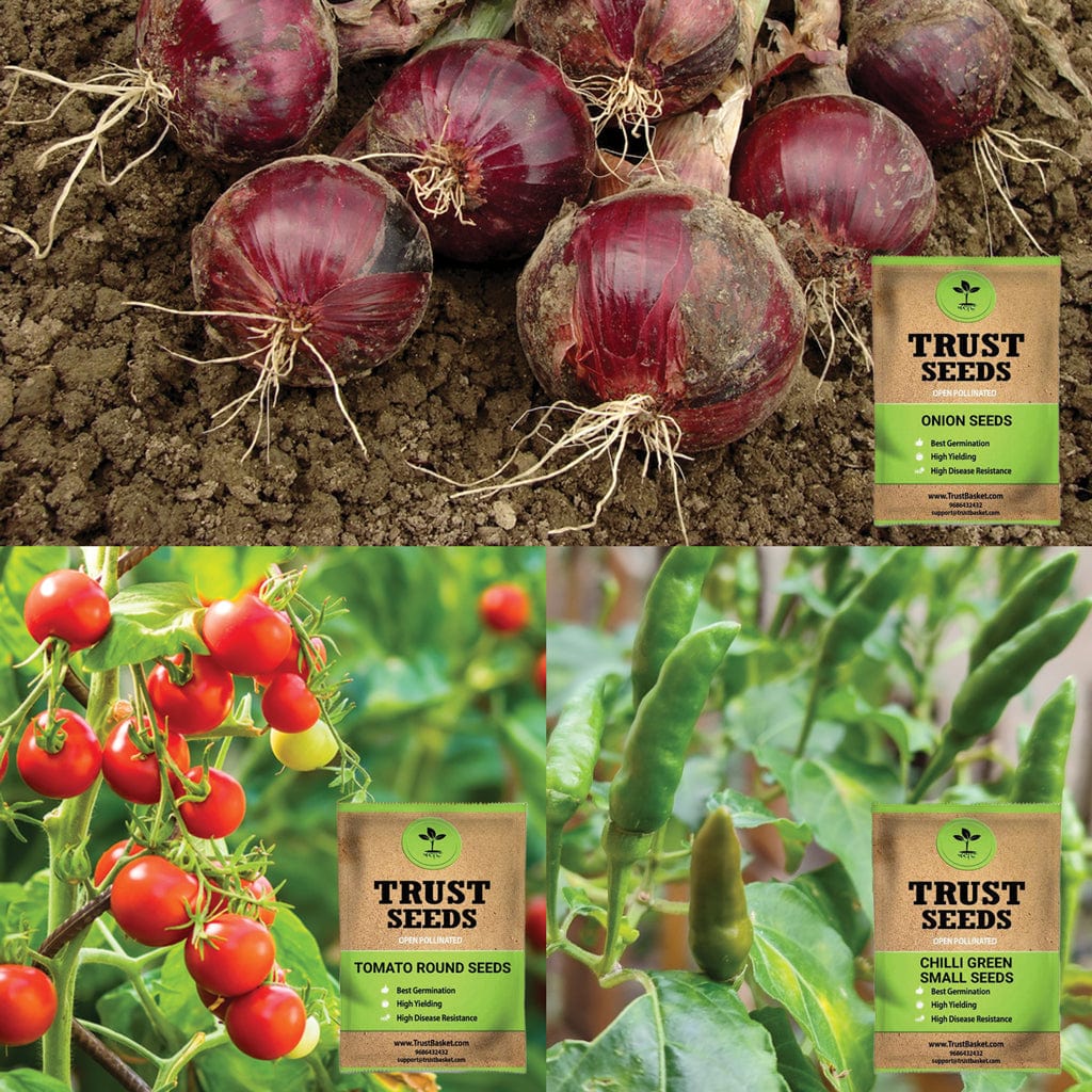 Seeds Combo – TrustBasket