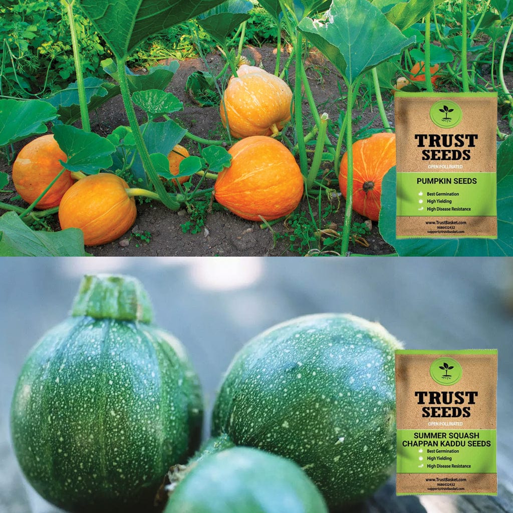 Seeds Combo – TrustBasket