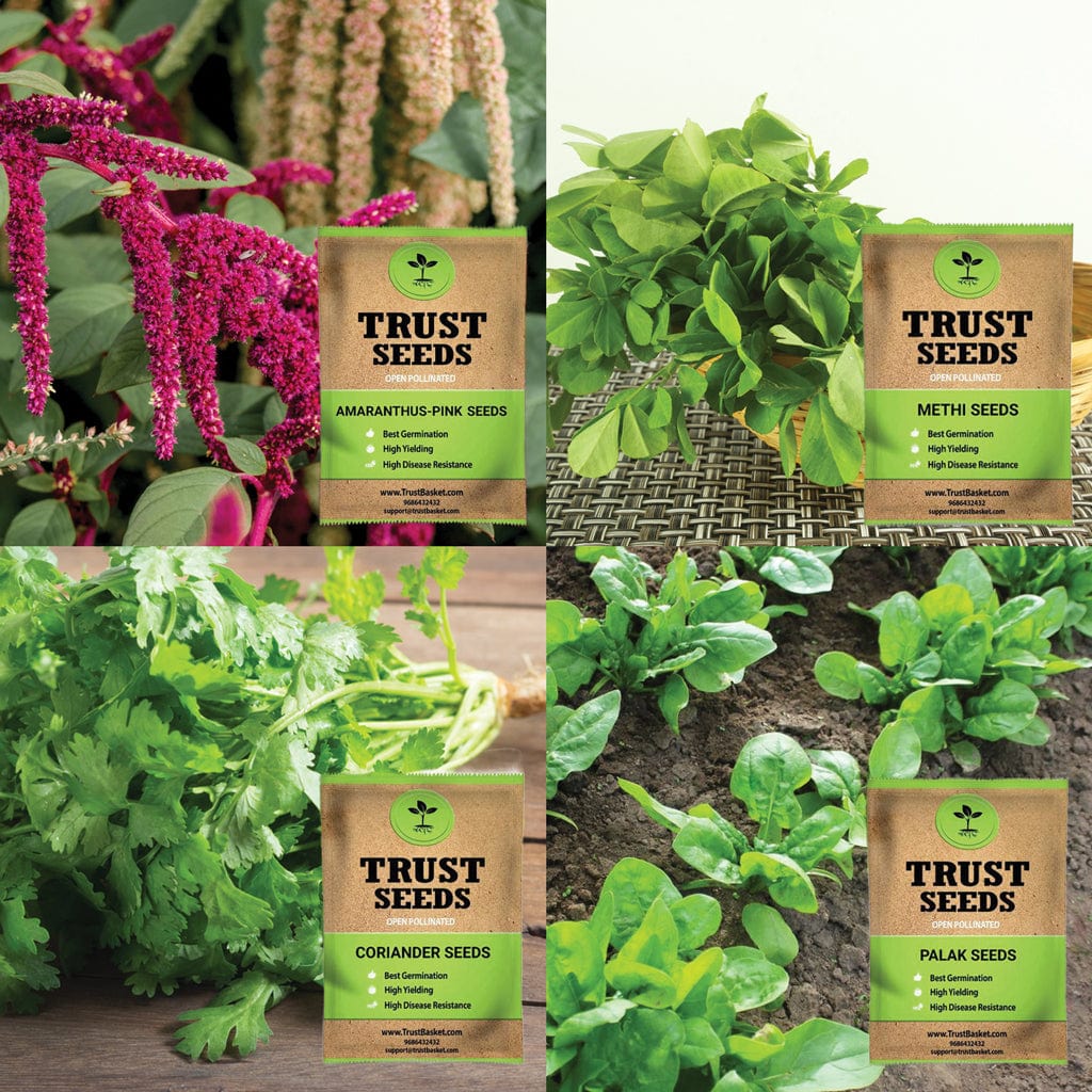 Seeds Combo – TrustBasket