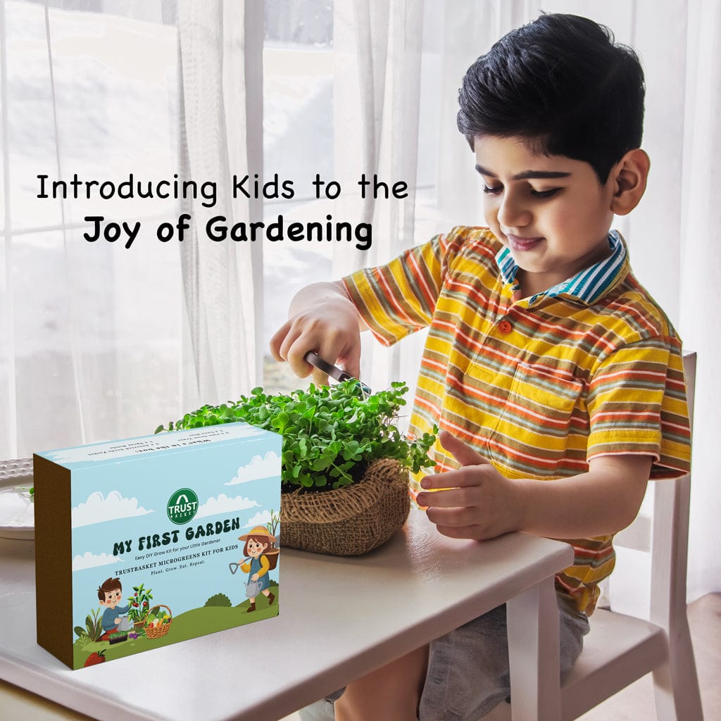 My First Garden Microgreens Kit for kids – TrustBasket