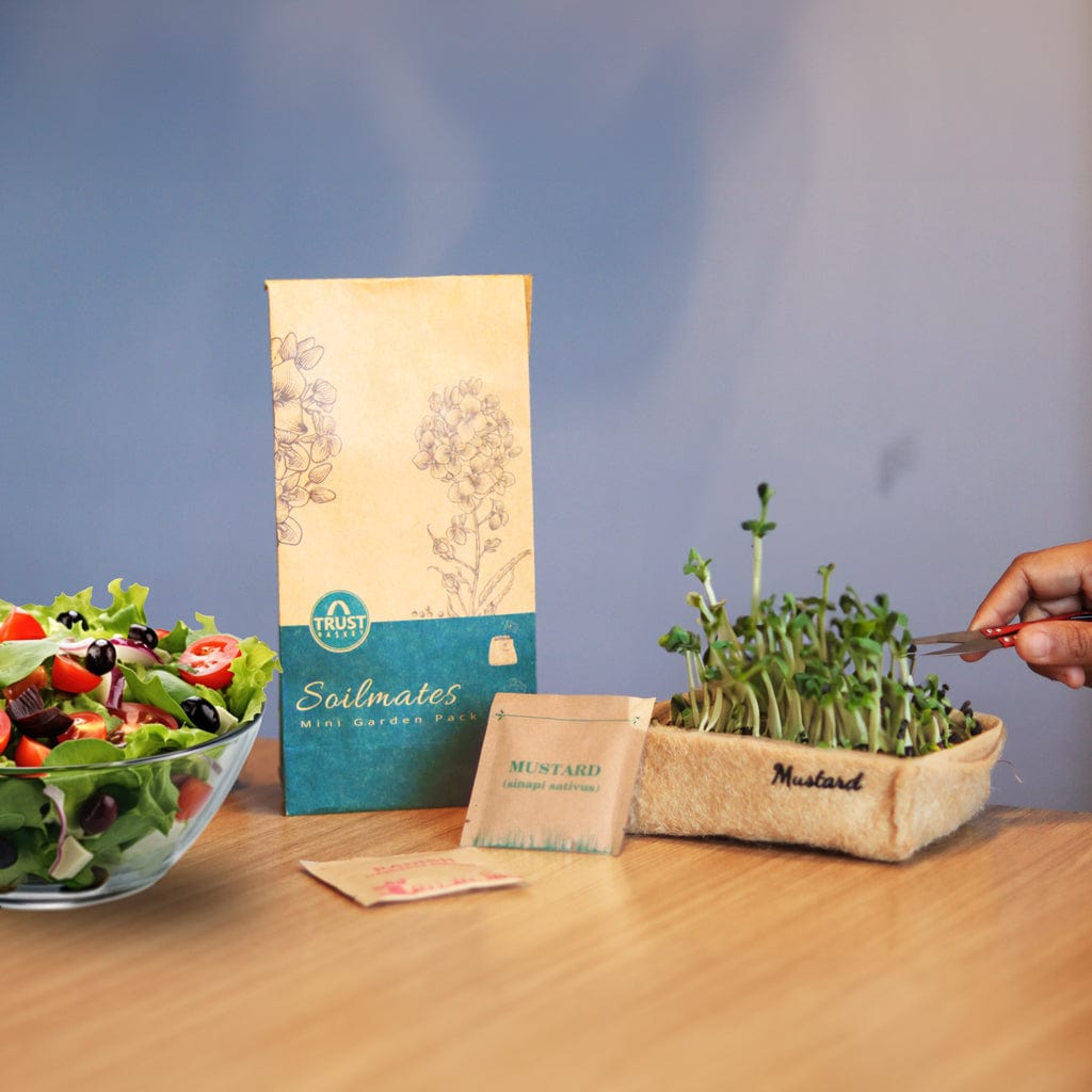 Soilmates Mini Garden Pack – TrustBasket