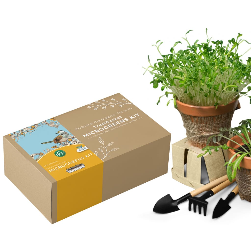 Homegrown Microgreens Kit – TrustBasket
