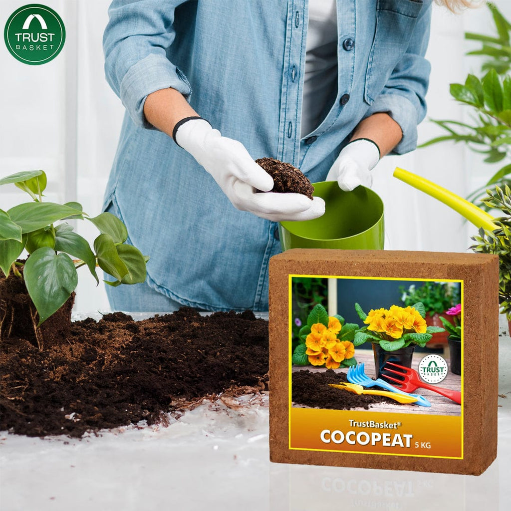 COCOPEAT BLOCK - EXPANDS TO 225 LITRES OF COCO PEAT POWDER (Set of Thr ...