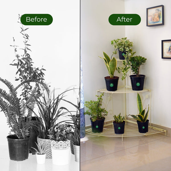 TrustBasket Corner Stand Stair-Step Style flower pot stand for Garden