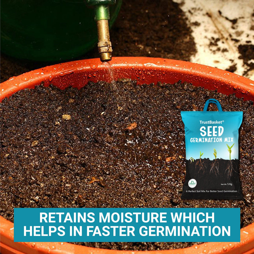 Seed Germination Mix – TrustBasket