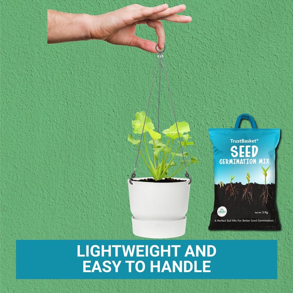Seed Germination Mix – TrustBasket