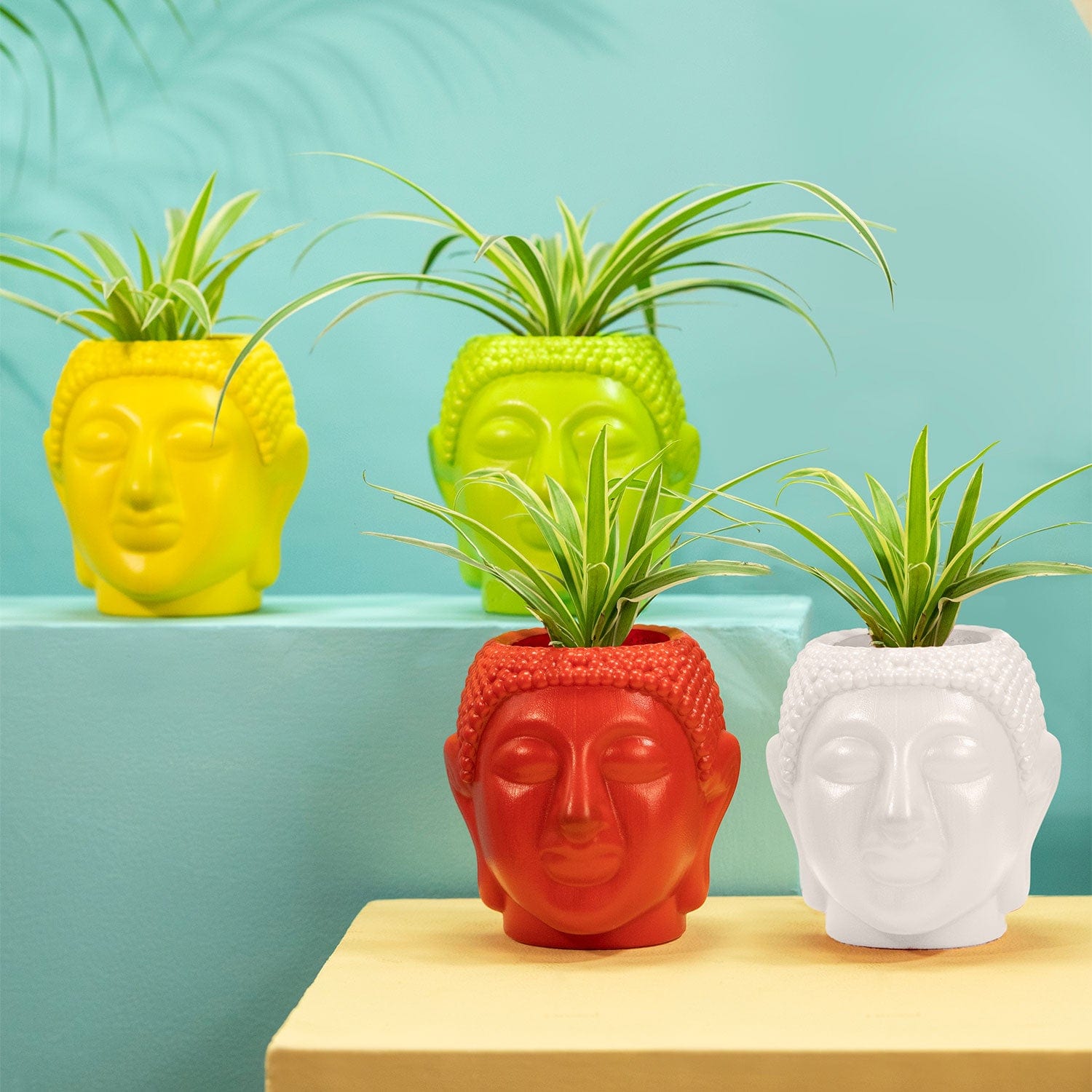 Buddha Pot Buddha Face Planter Pot With Drainage Makers India