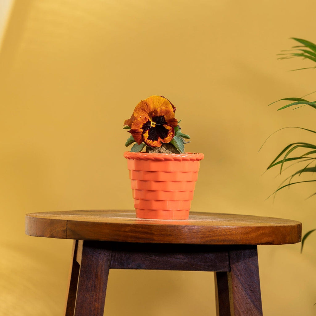 TrustBakset Brick pot 4 inch – TrustBasket