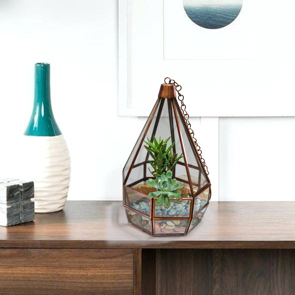 Cone Tower Terrarium – TrustBasket