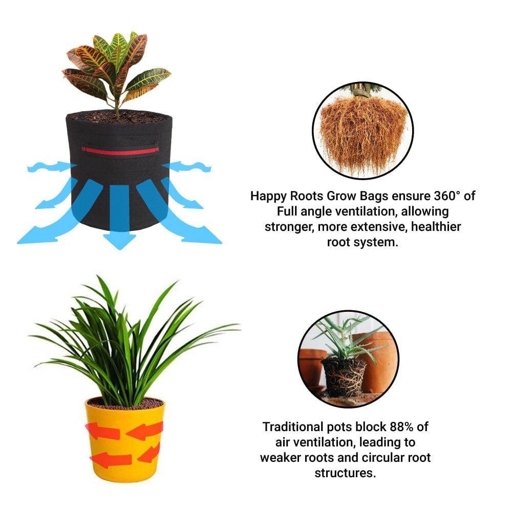 Happy Roots Grow Bags - 10*10 – TrustBasket