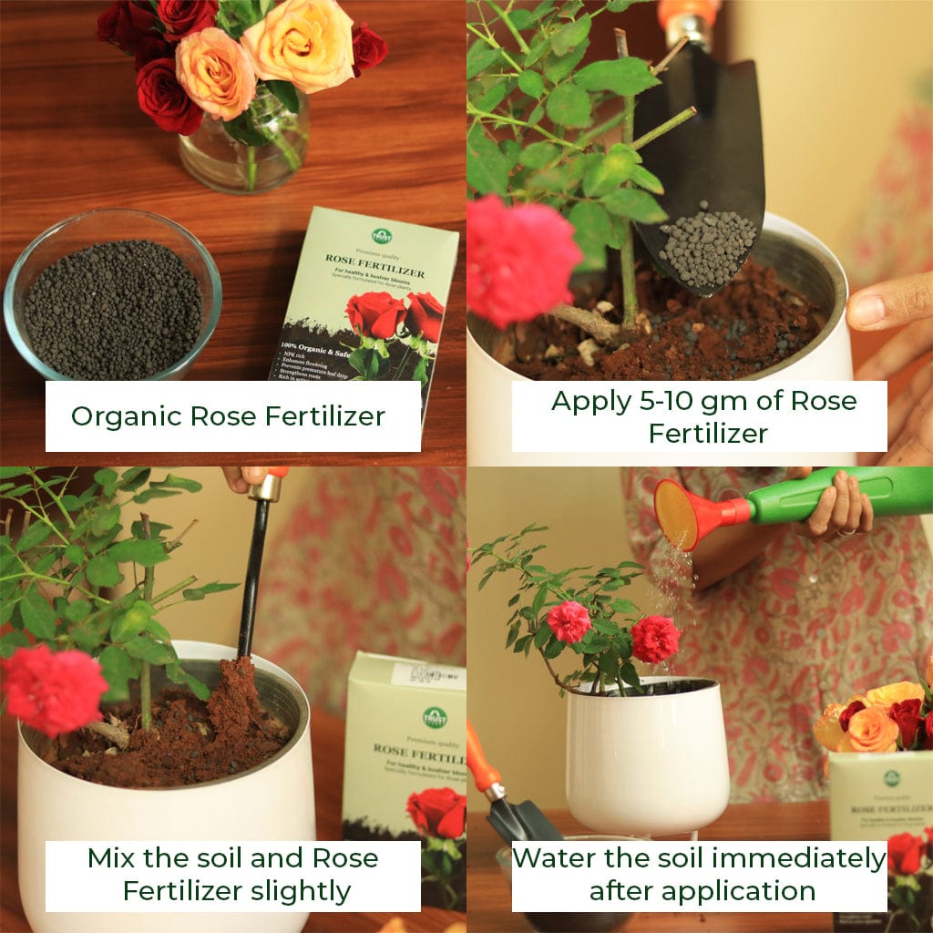 TrustBasket Rose Fertilizer (450gm) | Rose Plant Food For Flowering Pl
