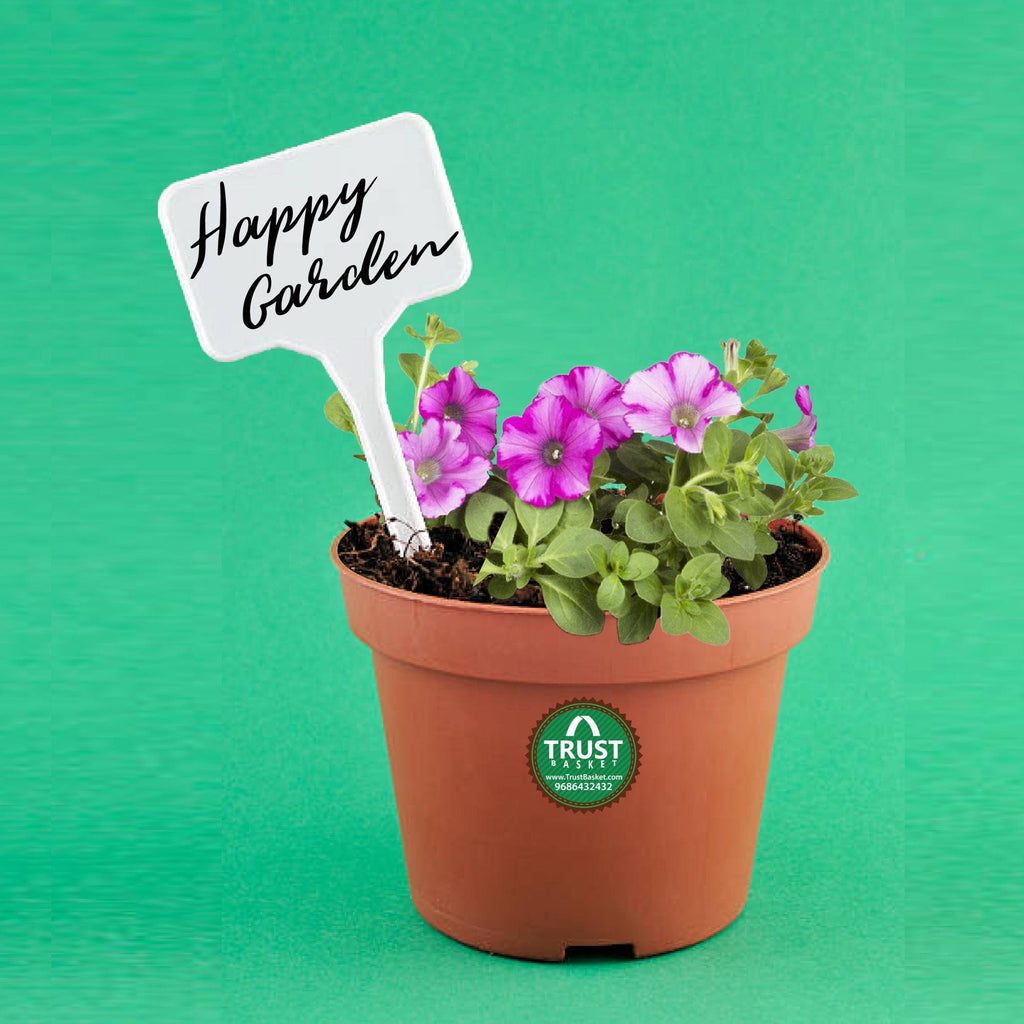 Gardening Plant Name Tag - Set of 10 – TrustBasket