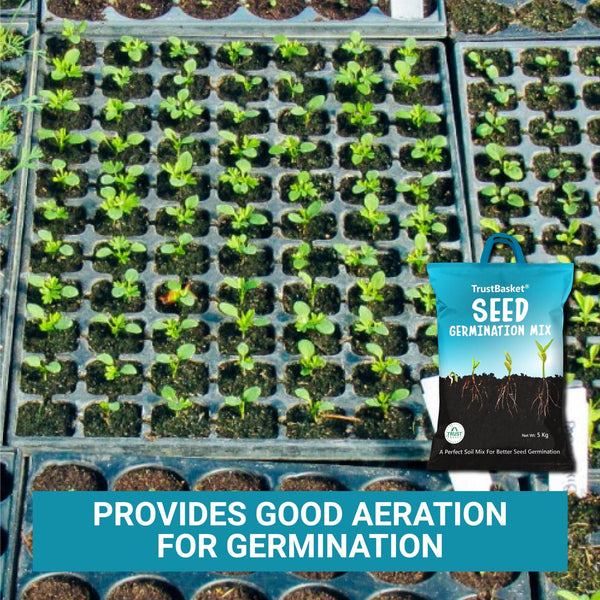 Seed Germination Mix – TrustBasket