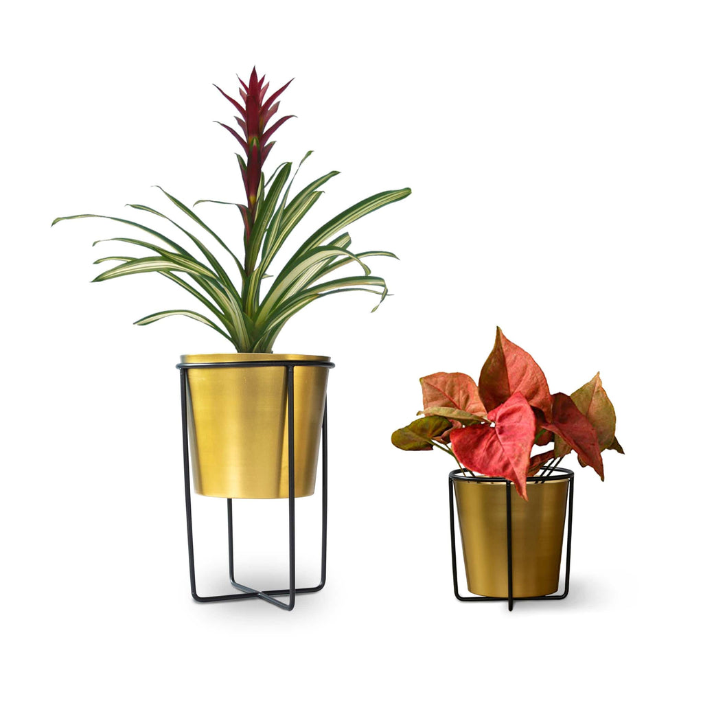 Ayana planter - Set of 2 – TrustBasket