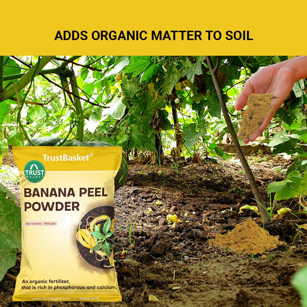 Banana Peel Powder Organic Fertilizer for Plants (450 Grams) – TrustBasket